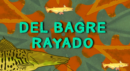Bagre Rayado - Jacana Jacana - Maguaré - Ministerio de Cultura de Colombia